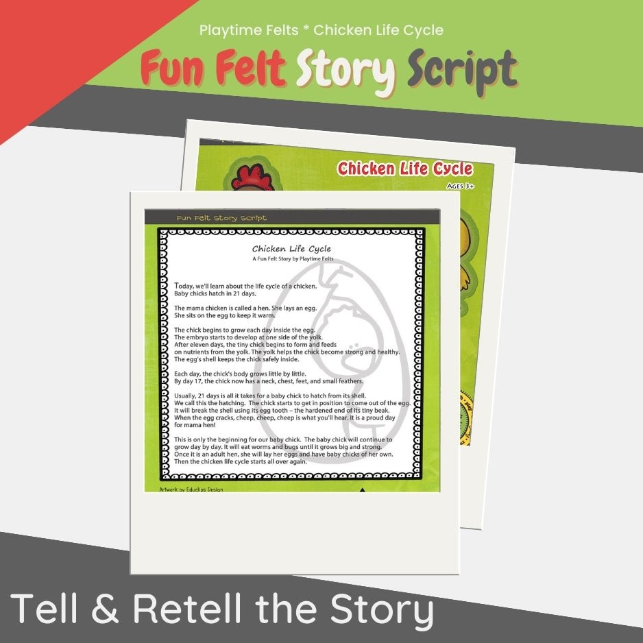 Chicken Life Cycle | Felt Board Stories – Playtime Felts
