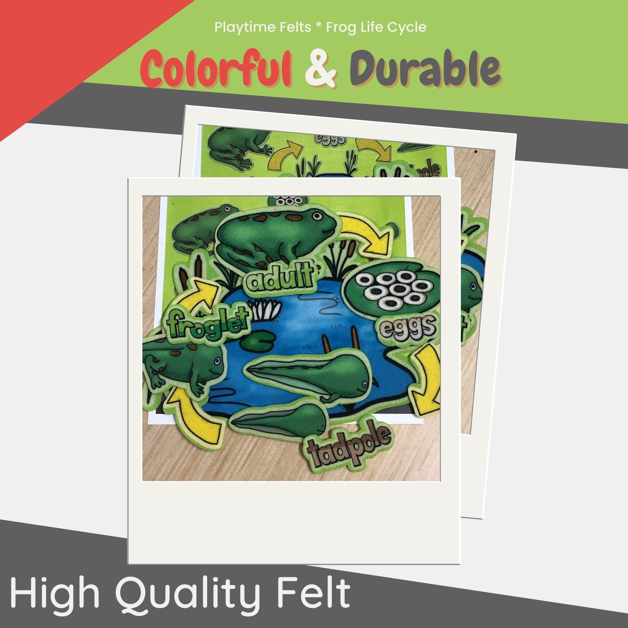 Frog Life Cycle | Felt Board Stories – Playtime Felts